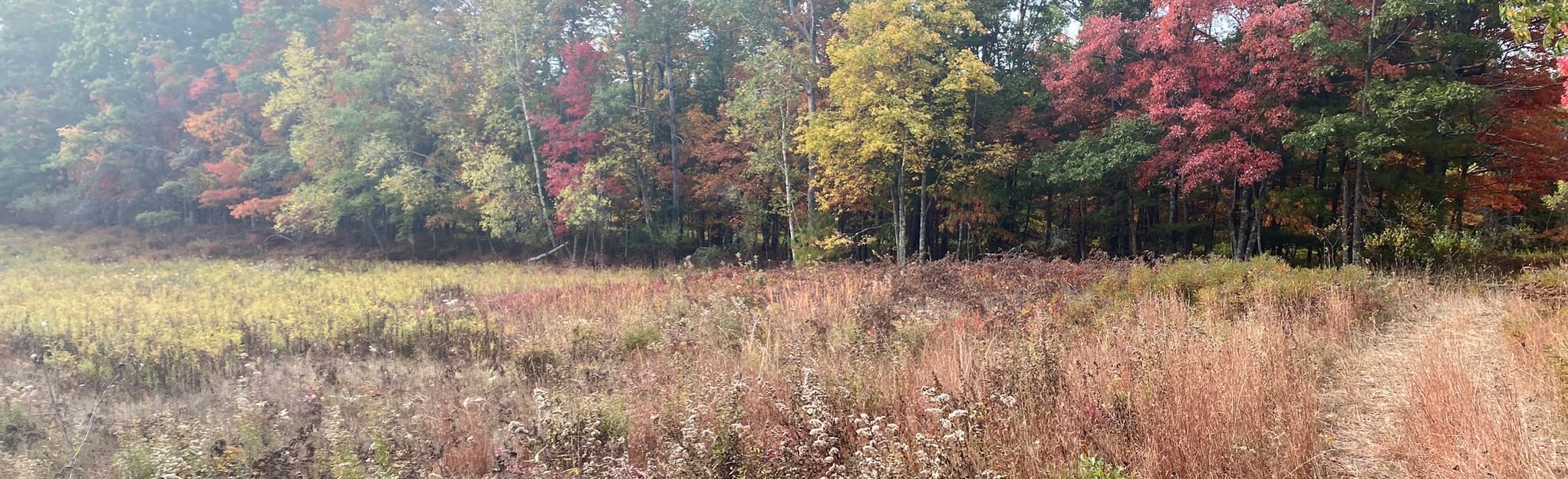 Buck Hill Trail 344 Reviews Map Rhode Island Alltrails