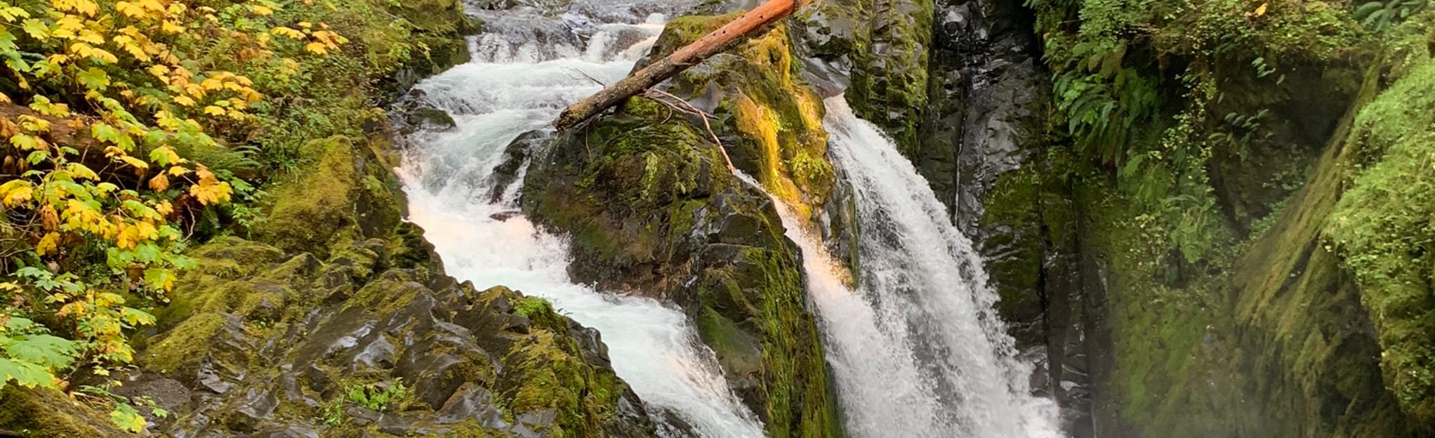 Little Divide Loop, Mink Lake, Washington - 75 Reviews, Map | AllTrails