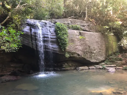 10 Best Walking Trails in Noosa Shire | AllTrails