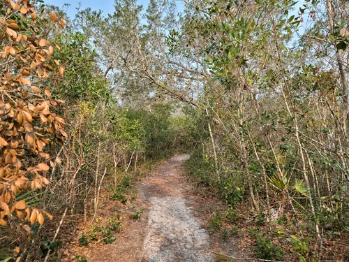 10 Best Trails and Hikes in Gulf Breeze | AllTrails