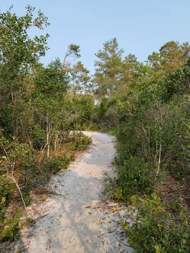 10 Best Trails and Hikes in Gulf Breeze | AllTrails