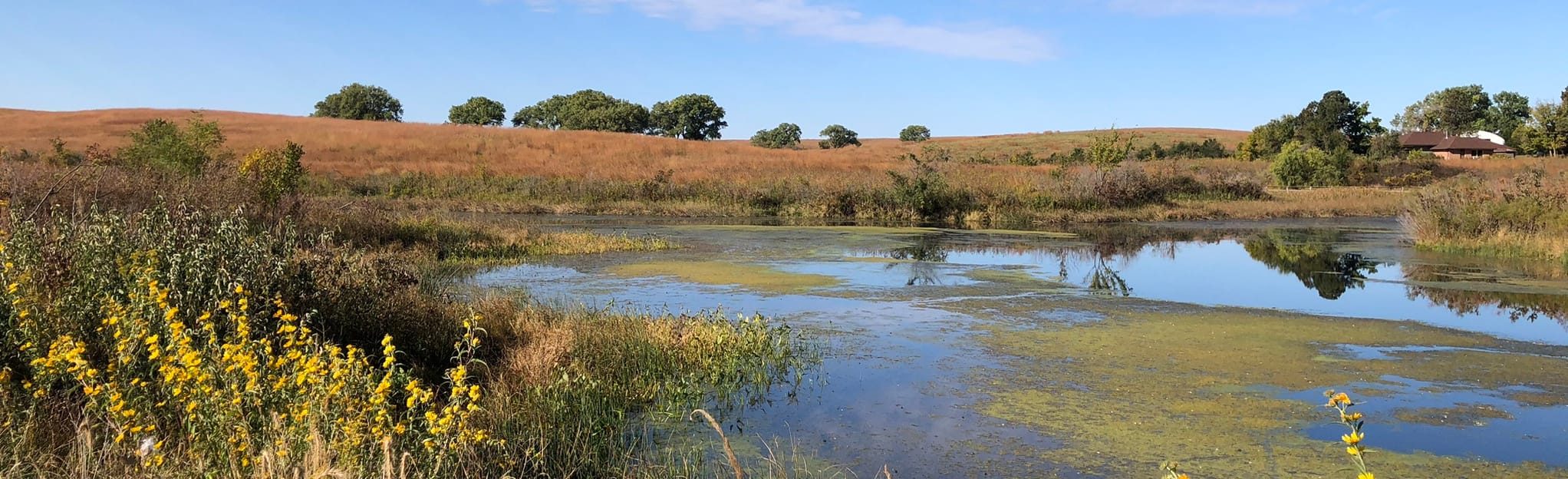 Elizabeth Rubendall Birding, Prairie, Ridge and Woodland Loop, Nebraska ...