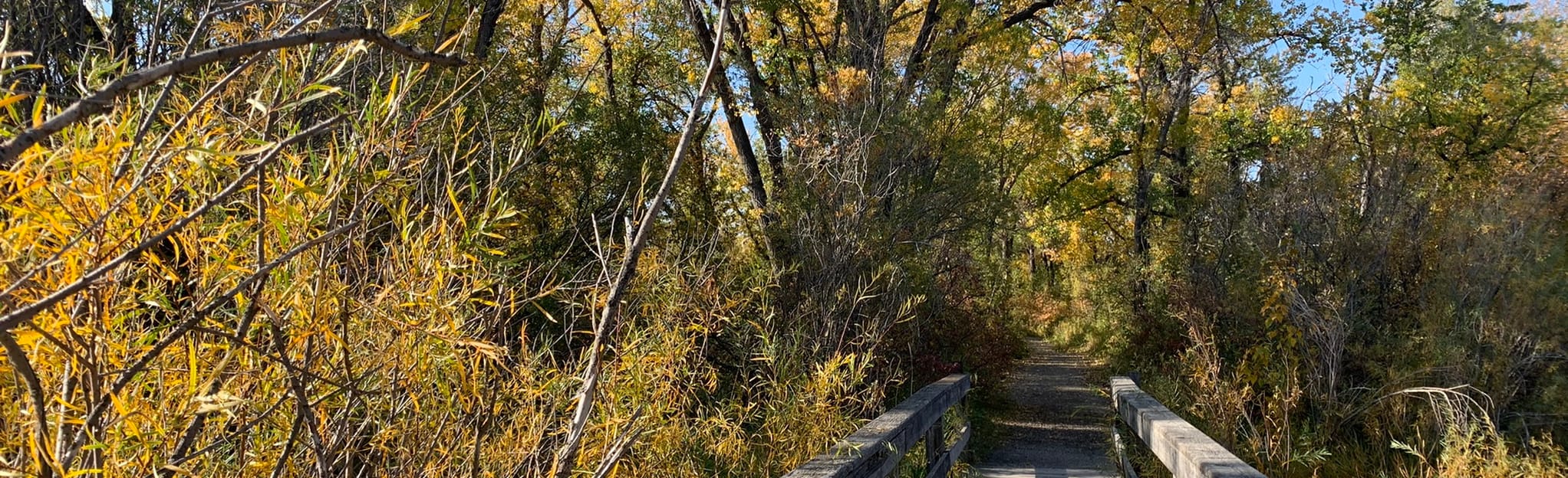 River Valley Wilderness Park Loop, Alberta, Canada - 43 Reviews, Map ...