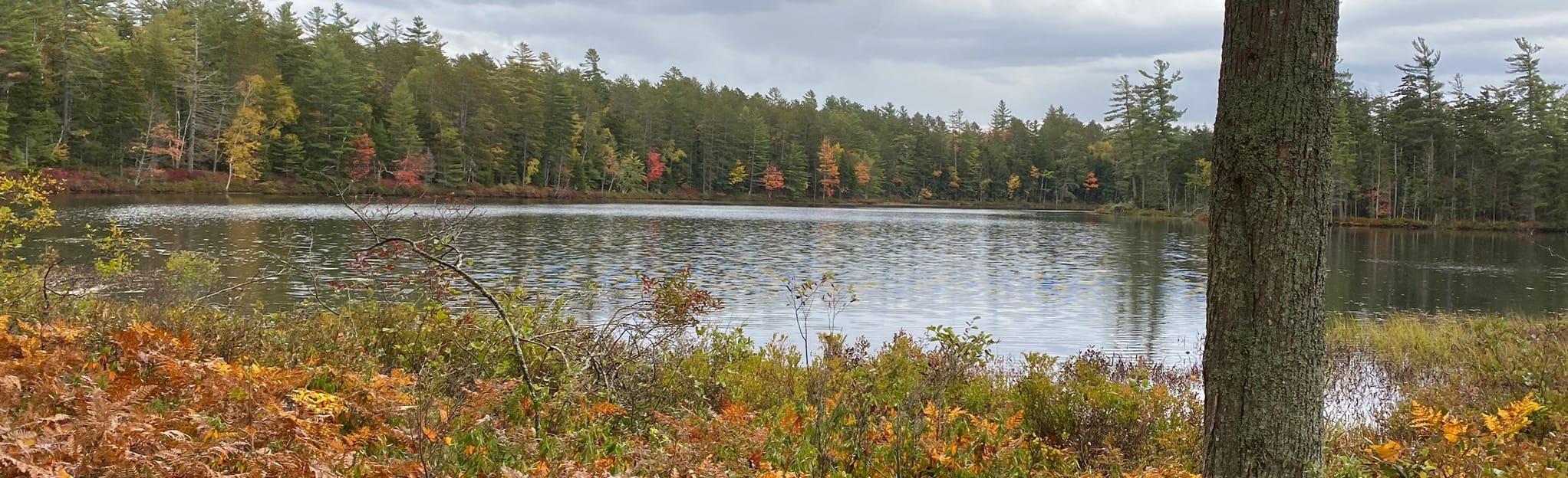 Fish Creek Ponds Paddle Route: 14 Reviews, Map - New York | AllTrails