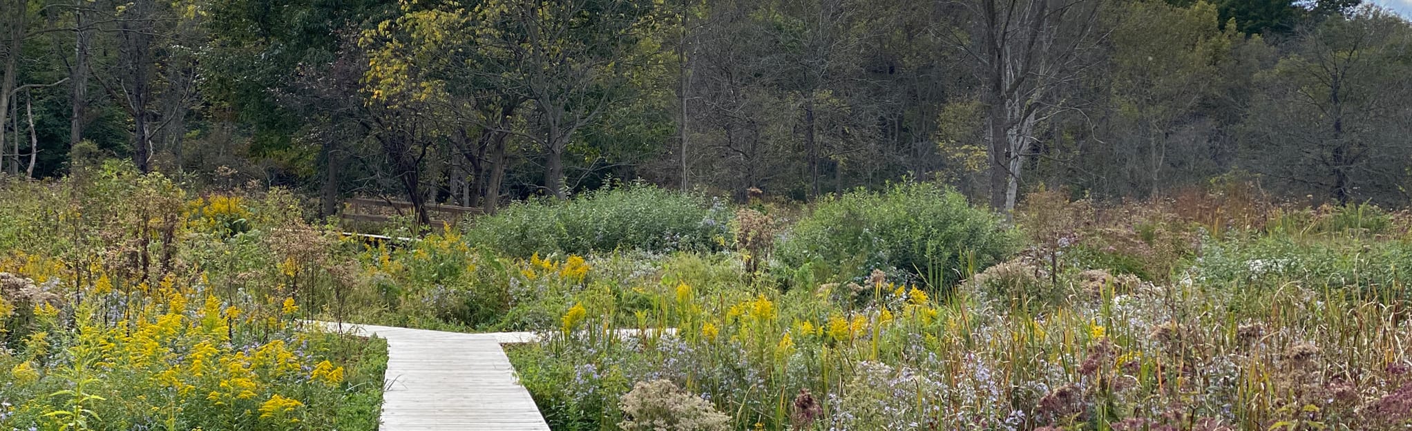 Pearl's Fen Boardwalk Loop | Map, Guide - Ohio | AllTrails