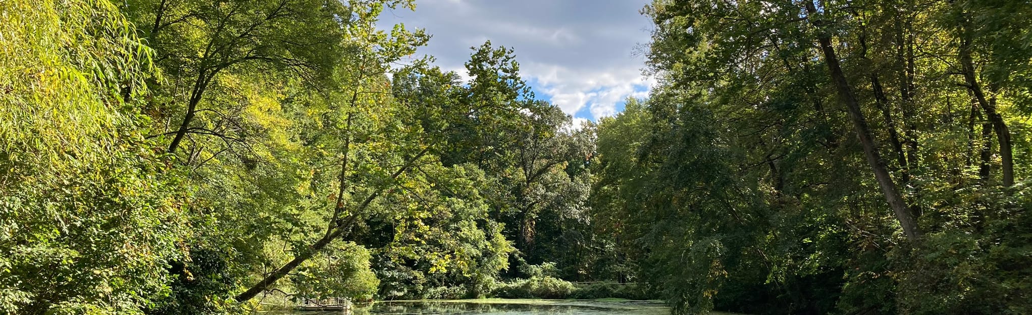 Hidden Pond, Virginia - 523 Reviews, Map | AllTrails