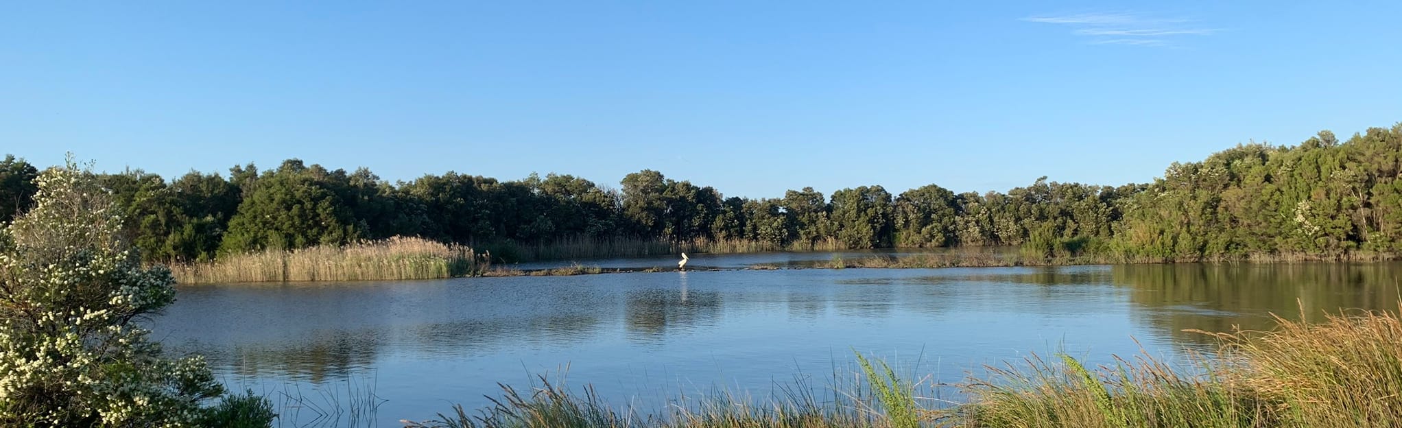 Waterways Wetlands and Lake Circuit: 6 Reviews, Map - Victoria ...