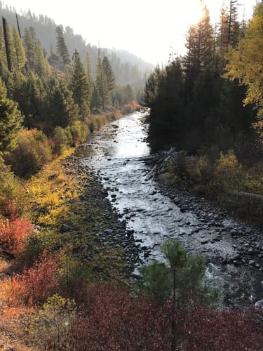 Best Hikes and Trails in North Fork John Day Wilderness | AllTrails
