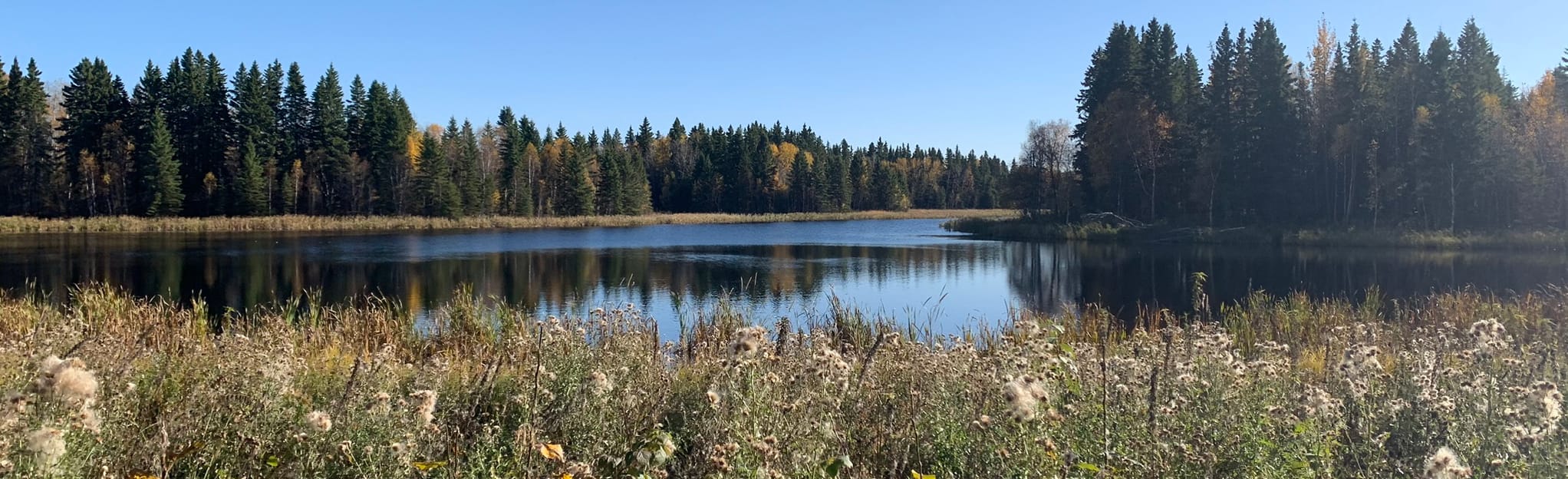 Ministik Bird Sanctuary Loop : 115 Photos - Alberta, Canada | Randonnée ...
