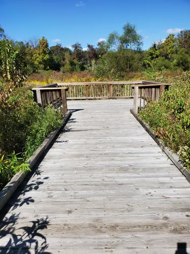 Best Hikes and Trails in Walrond Park | AllTrails