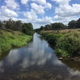 Kedron Brook Track, Queensland, Australia - 86 Reviews, Map | AllTrails