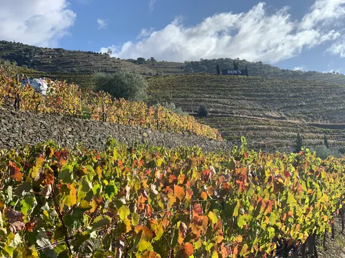 Best Hikes and Trails in Pinhão | AllTrails