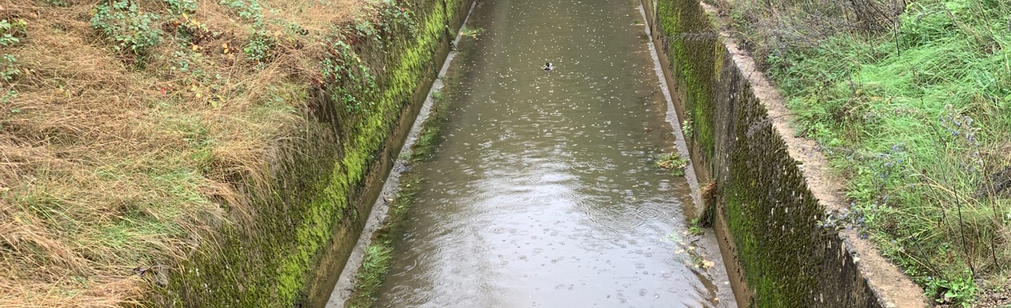 Steinfort Rundgang - Capellen, Luxembourg | AllTrails