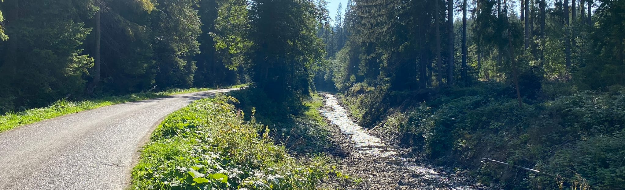 Lehrpfad Slaná Voda - Babia hora, 52 Fotos - Žilinský kraj, Slowakei ...