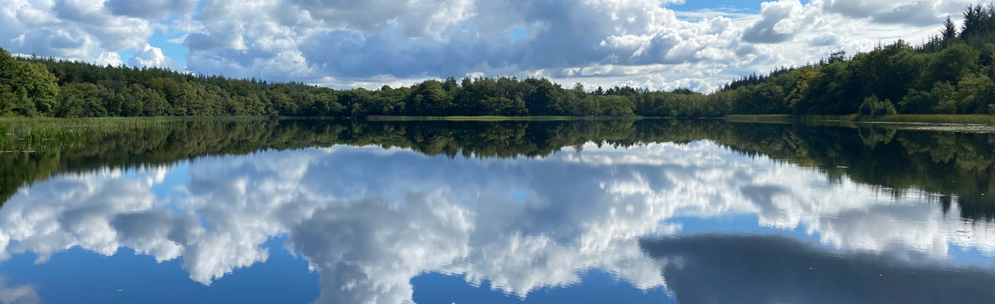 Hjøllund Loop, Central Denmark Region, Denmark - Map, Guide | AllTrails