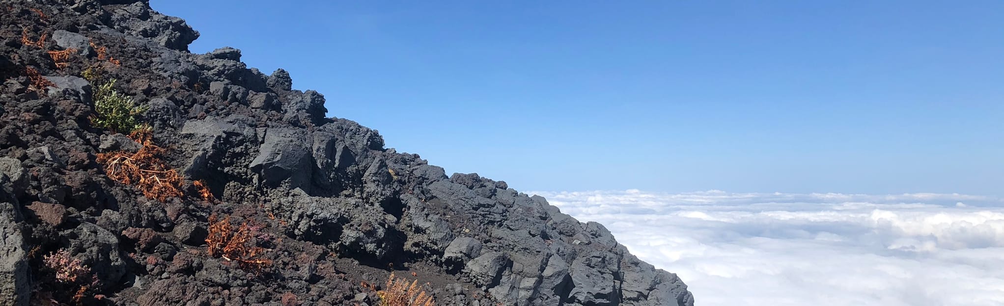 Mt. Fuji: Subashiri Trail: 499 foto - prefettura di Yamanashi, Giappone ...