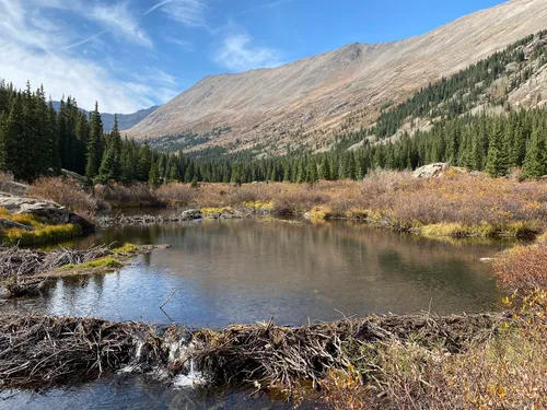 10 Best Trails and Hikes in Alma | AllTrails
