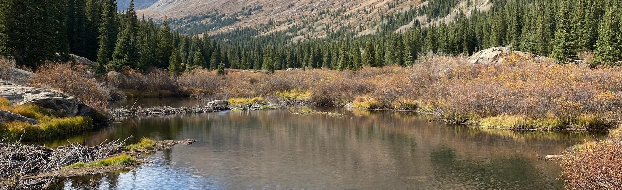 Wheeler Lake, Colorado - 367 Reviews, Map | AllTrails