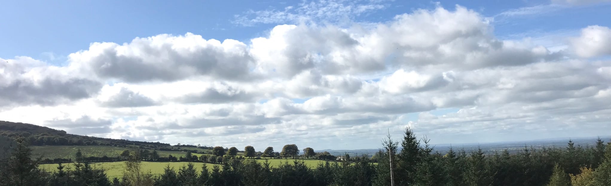 Kinnitty Castle Loop: 55 Reviews, Map - County Offaly, Ireland | AllTrails