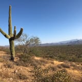 Lousley Hill Trail, Arizona - 120 Reviews, Map | AllTrails