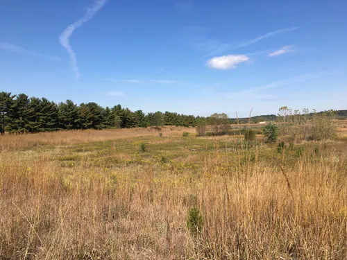 Best Hikes and Trails in Fernald Preserve | AllTrails