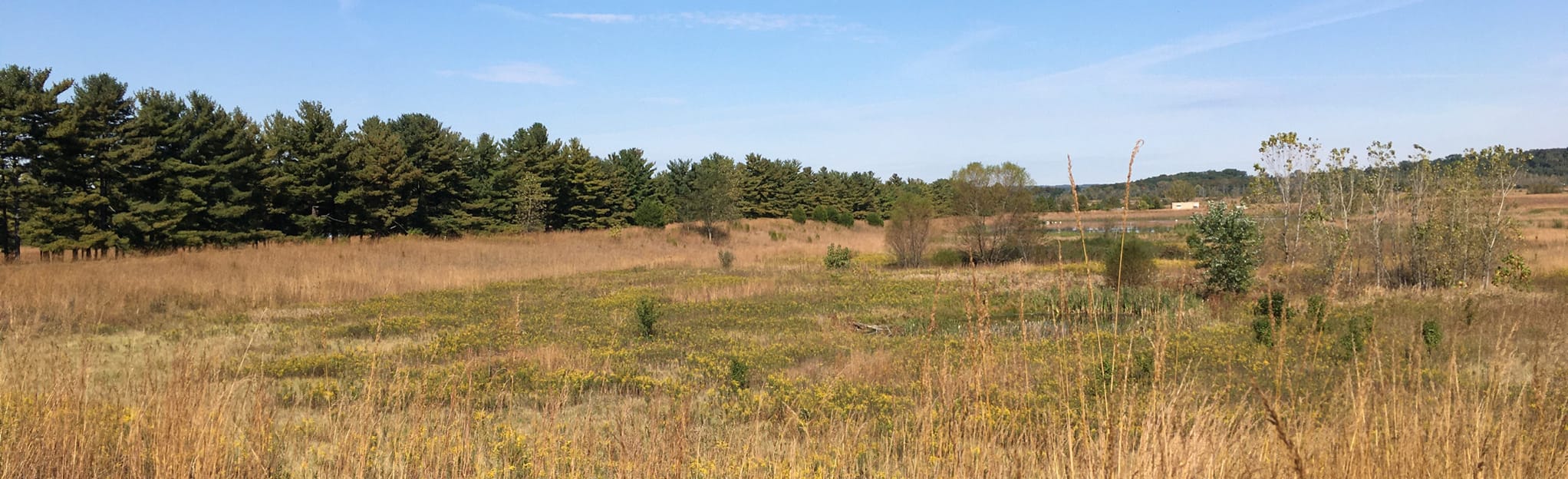 Lodge Pond Trail: 19 Reviews, Map - Ohio | AllTrails