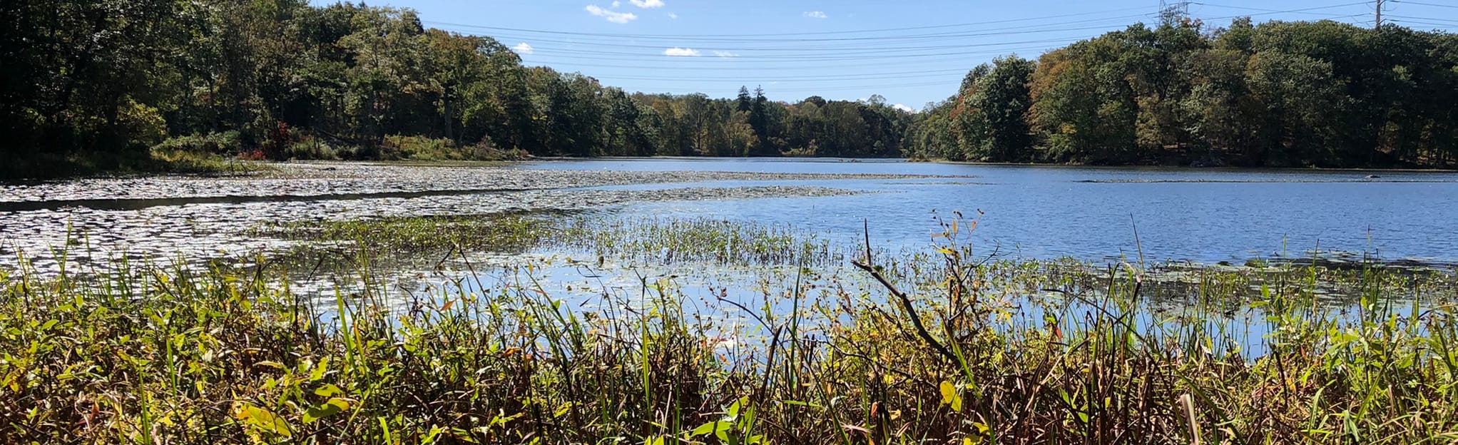 Teatown Kitchawan Trail, New York - 75 Reviews, Map | AllTrails