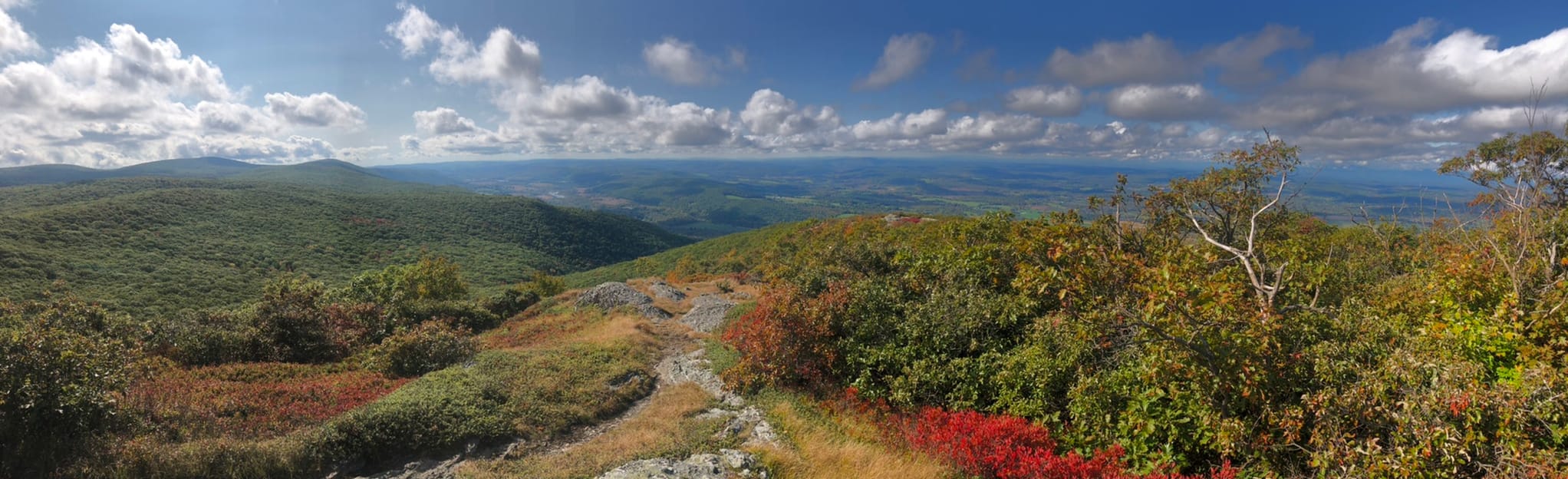 AllTrails | Alander Mountain Trail via South Taconic Trail: 190 Reviews ...
