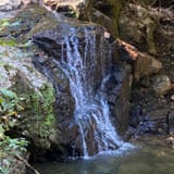 Avalon Loop Trail, Maryland - 293 Reviews, Map | AllTrails