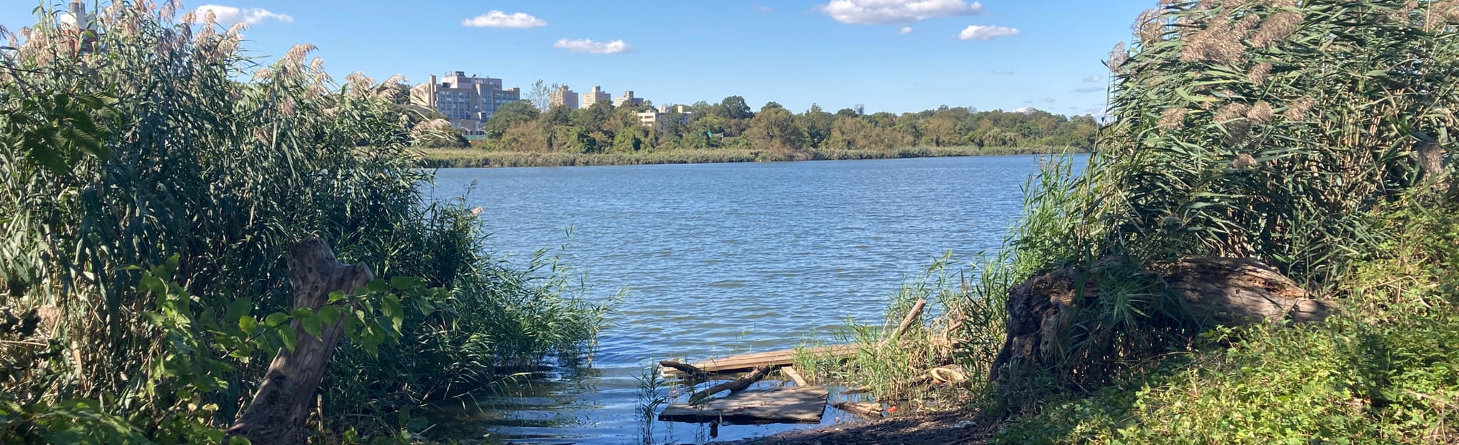 Pat Dolan Trail: 18 Reviews, Map - New York | AllTrails