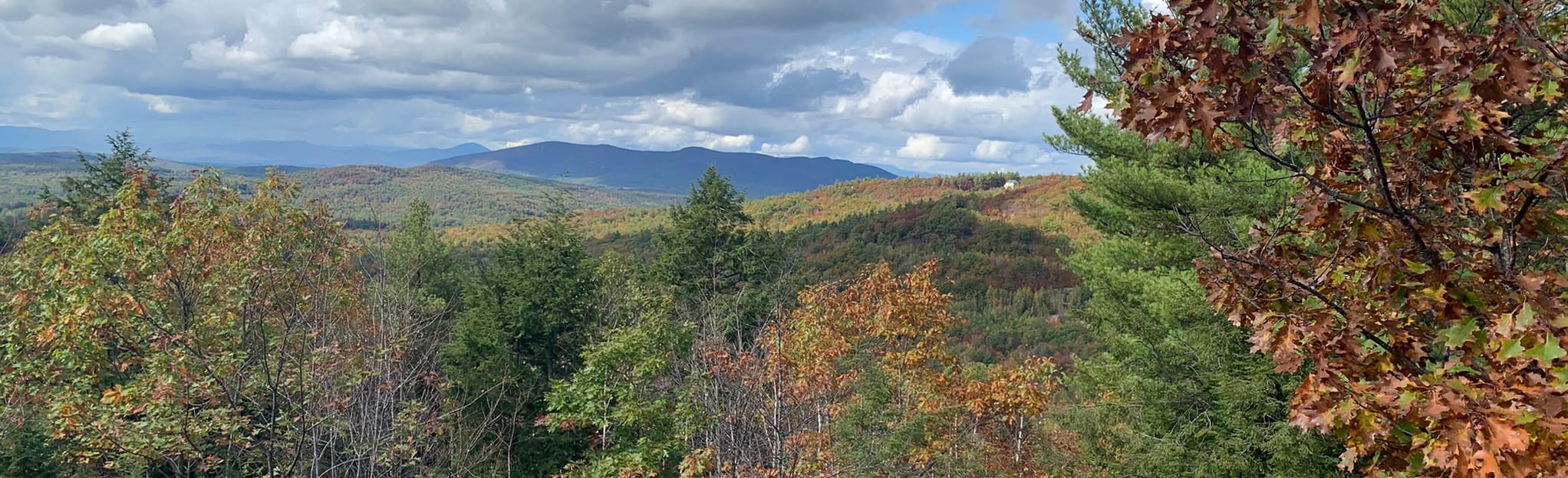 Bald Pate Mountain Trails: 634 Reviews, Map - Maine | AllTrails