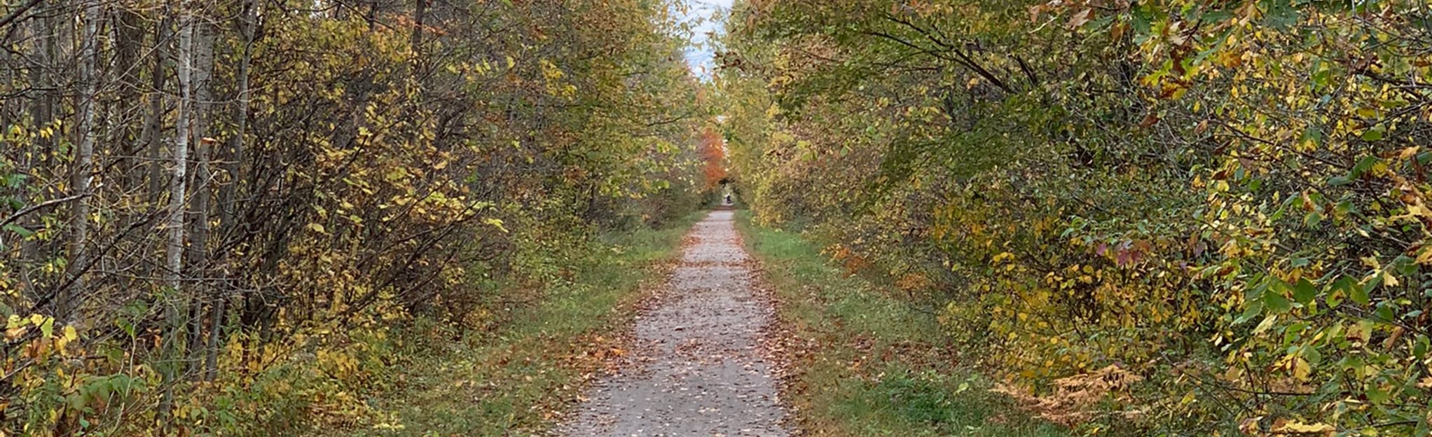 Osgoode-Leitrim Pathway, Ontario, Canada - 45 Reviews, Map | AllTrails