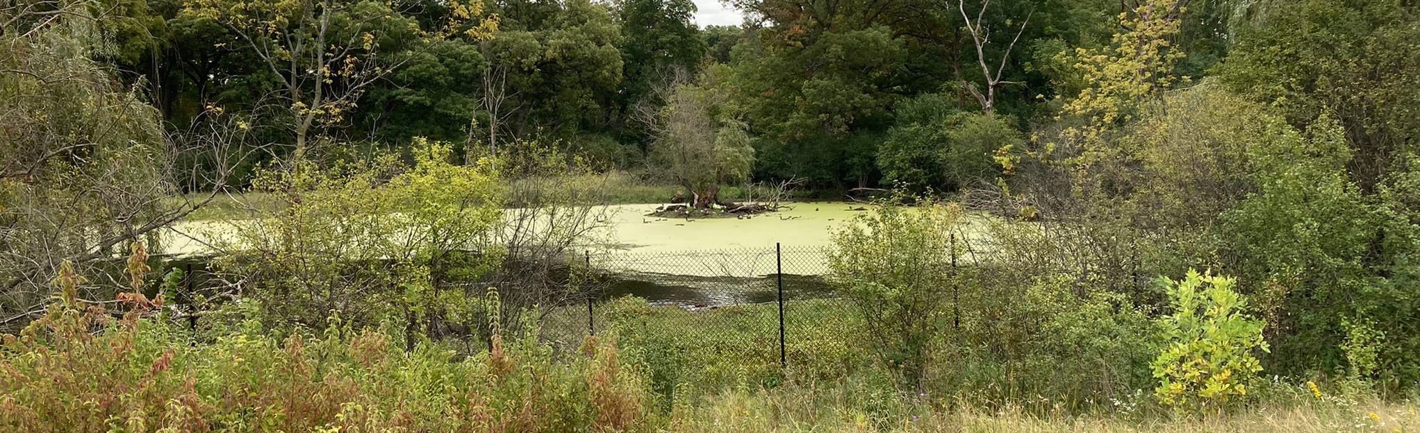 Spring Creek Reservoir Loop, Illinois - 183 Reviews, Map | AllTrails