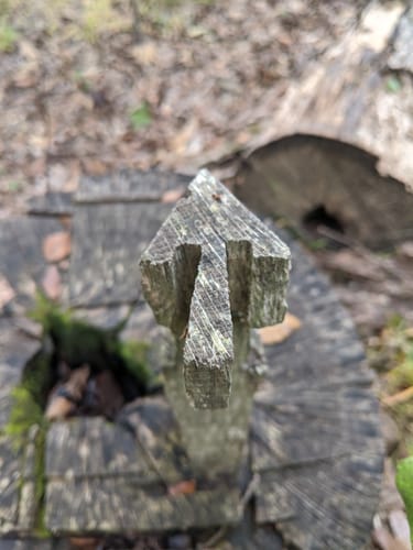 Best Hikes and Trails in University Forest Conservation Area | AllTrails