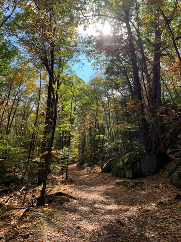 10 Best Lake Trails in Case Mountain Park | AllTrails