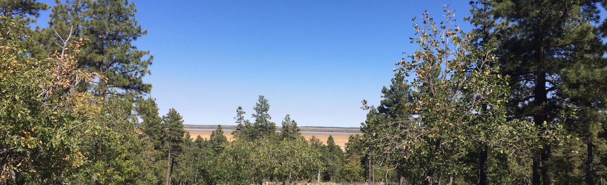 Arizona Trail: Passage 29 - Mormon Lake, Arizona - 33 Reviews, Map ...