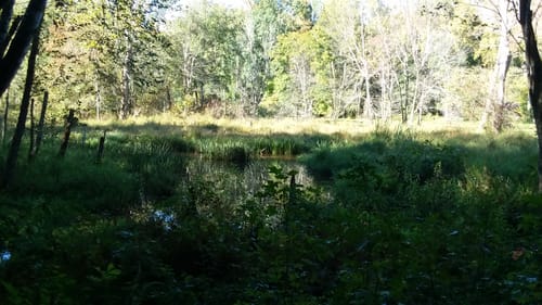 Best Hikes and Trails in Friendship Farm Park | AllTrails