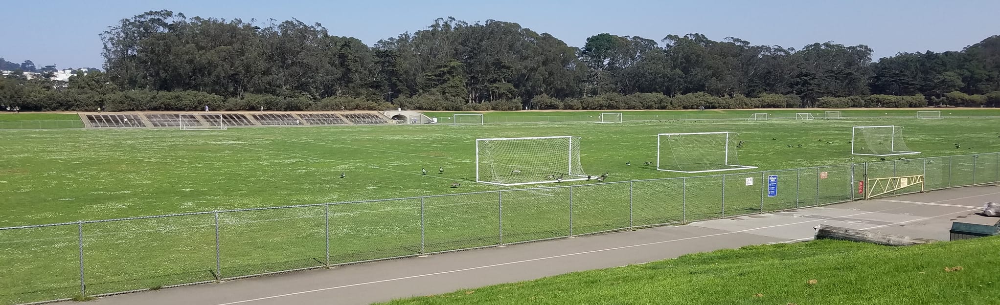 Golden Gate Park Polo Field Loop: 51 foto's - California | AllTrails