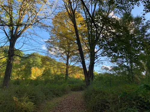 Best Hikes and Trails in Fishkill | AllTrails