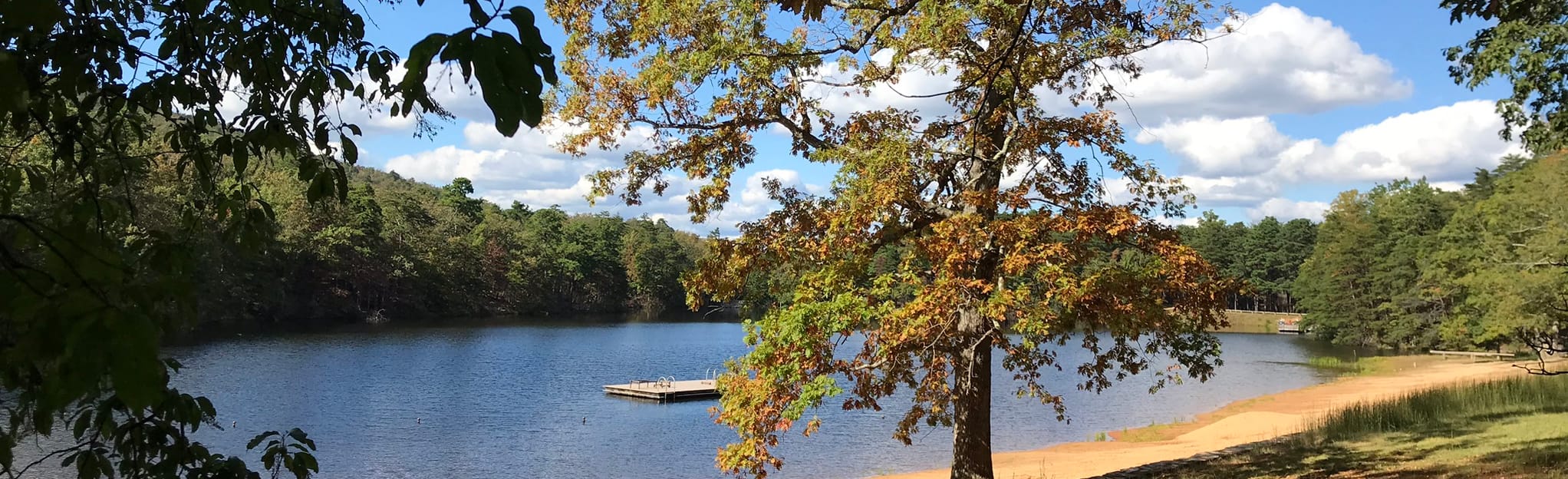 Cook's Wall Trail, North Carolina - 329 Reviews, Map | AllTrails