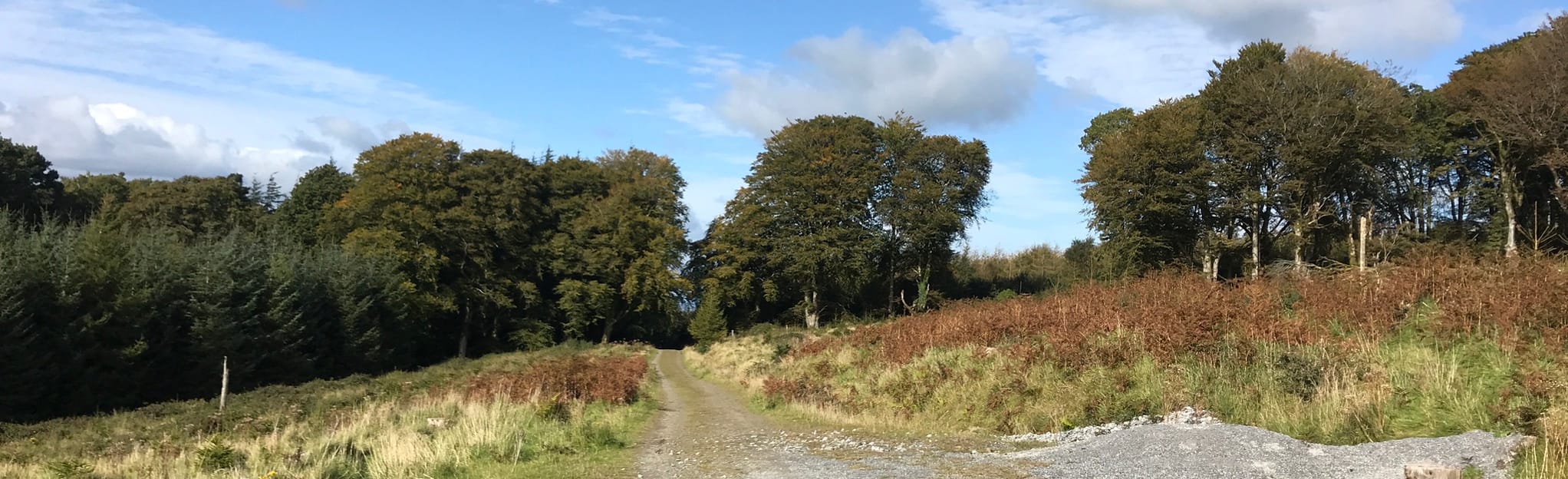 AllTrails | Kinnitty - Glinsk Castle Loop: 14 Reviews, Map - County ...