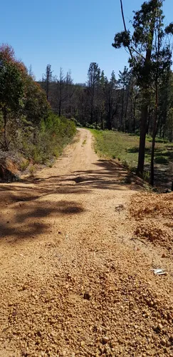 Best Hikes and Trails in Wingello State Forest | AllTrails