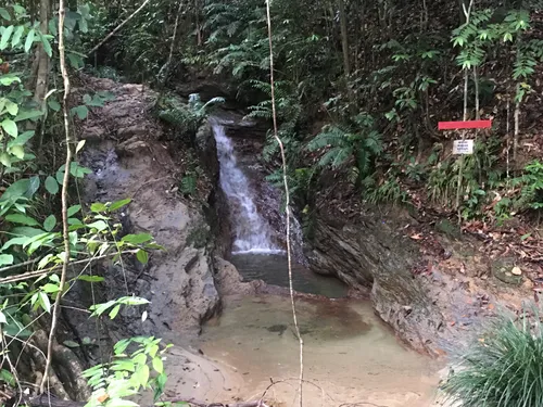 10 Best Waterfall Trails in Brunei | AllTrails