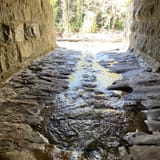 Avalon Loop Trail, Maryland - 293 Reviews, Map | AllTrails