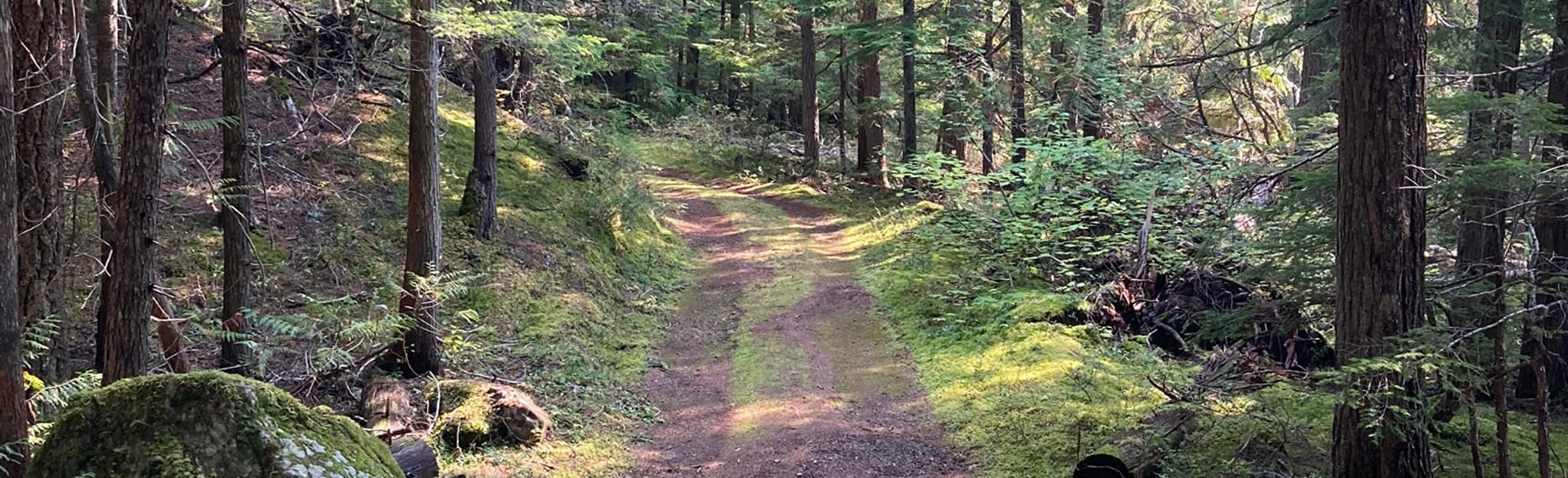 AllTrails | Grainger Creek Camp via Hope Pass Trail: 8 Reviews, Map ...