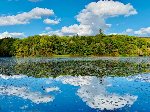 Best Hikes and Trails in Bolton Notch State Park | AllTrails