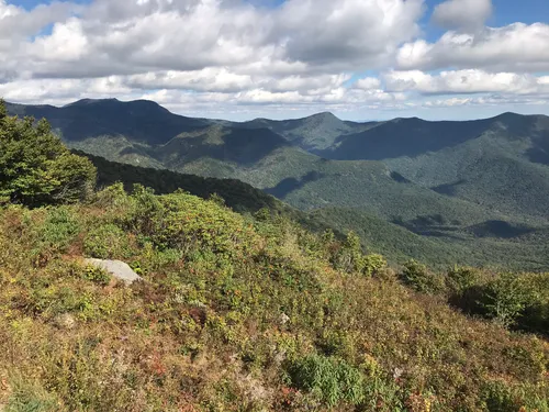 10 Best Trails and Hikes in Black Mountain | AllTrails