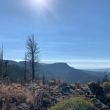 Tronsen Ridge Trail, Washington - 103 Reviews, Map | AllTrails