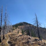 Tronsen Ridge Trail, Washington - 103 Reviews, Map | AllTrails