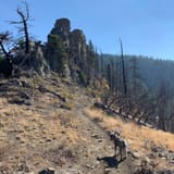 Tronsen Ridge Trail, Washington - 103 Reviews, Map | AllTrails